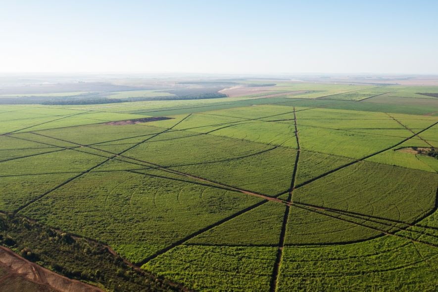 Drones da Raízen e ARPAC revolucionam agricultura na aplicação de ...