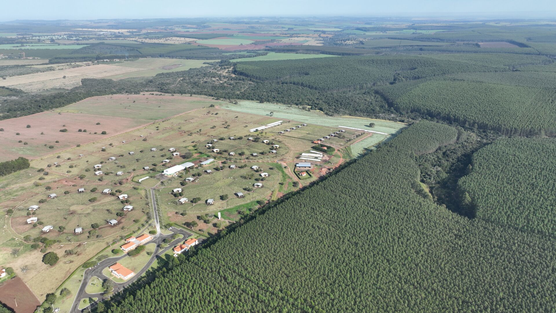 Sêmen bovino da Seleon Biotecnologia é 'Fábrica de Líderes de Sumários ...