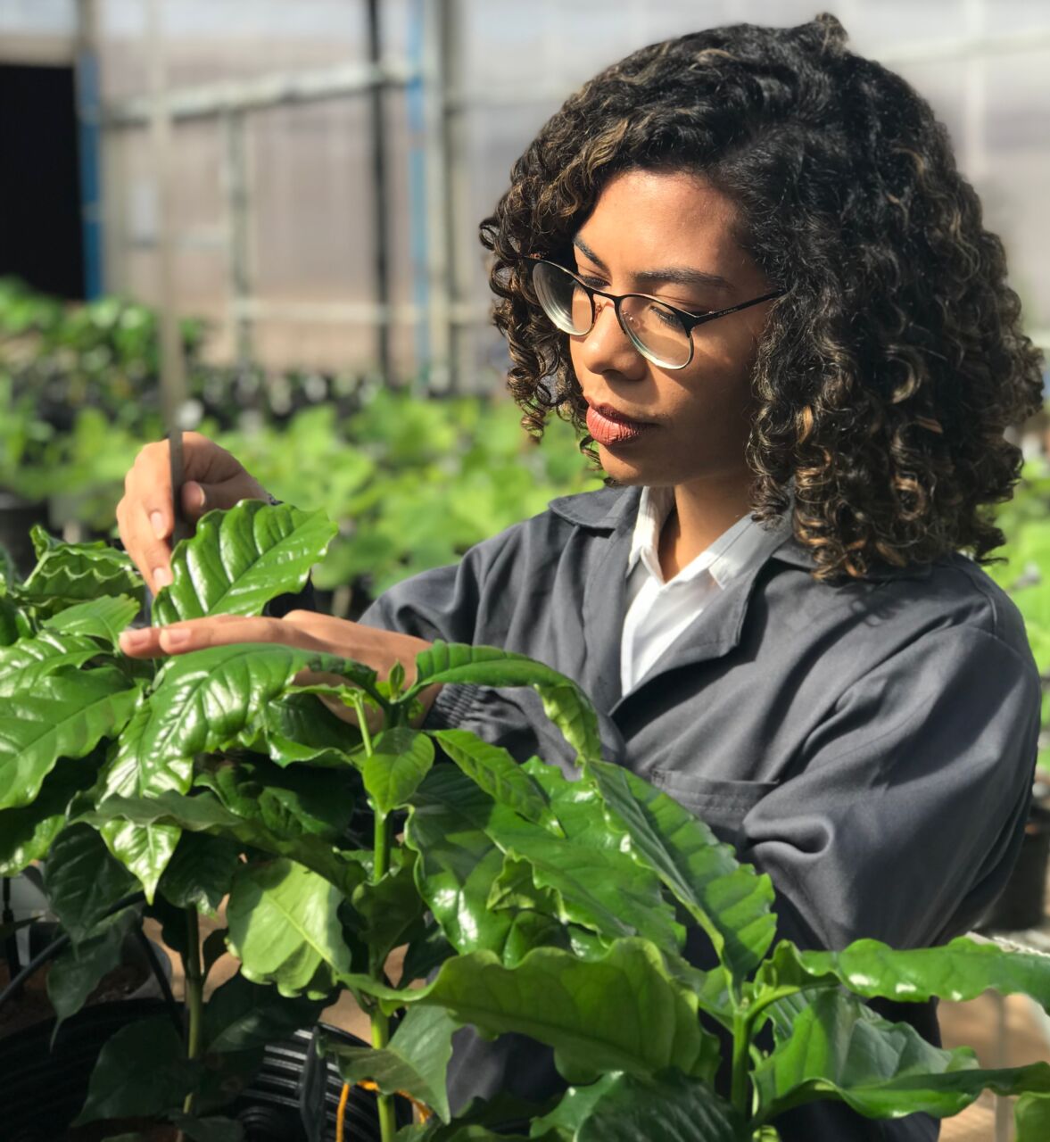 Vittia destaca Bio-Imune, no 28º Show Tecnológico Copercampos - AgroRevenda