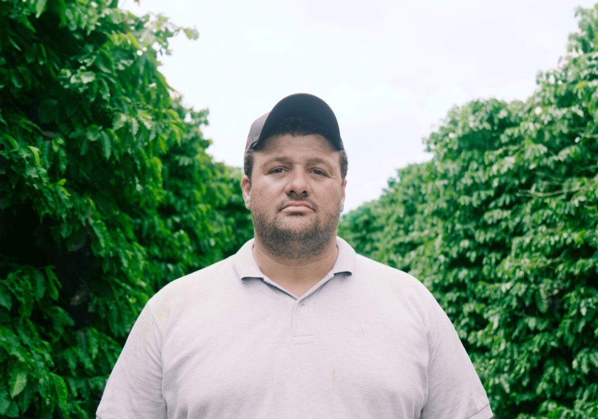 Cafeicultor de MG cota, compra e paga insumos em plataforma digital - AgroRevenda