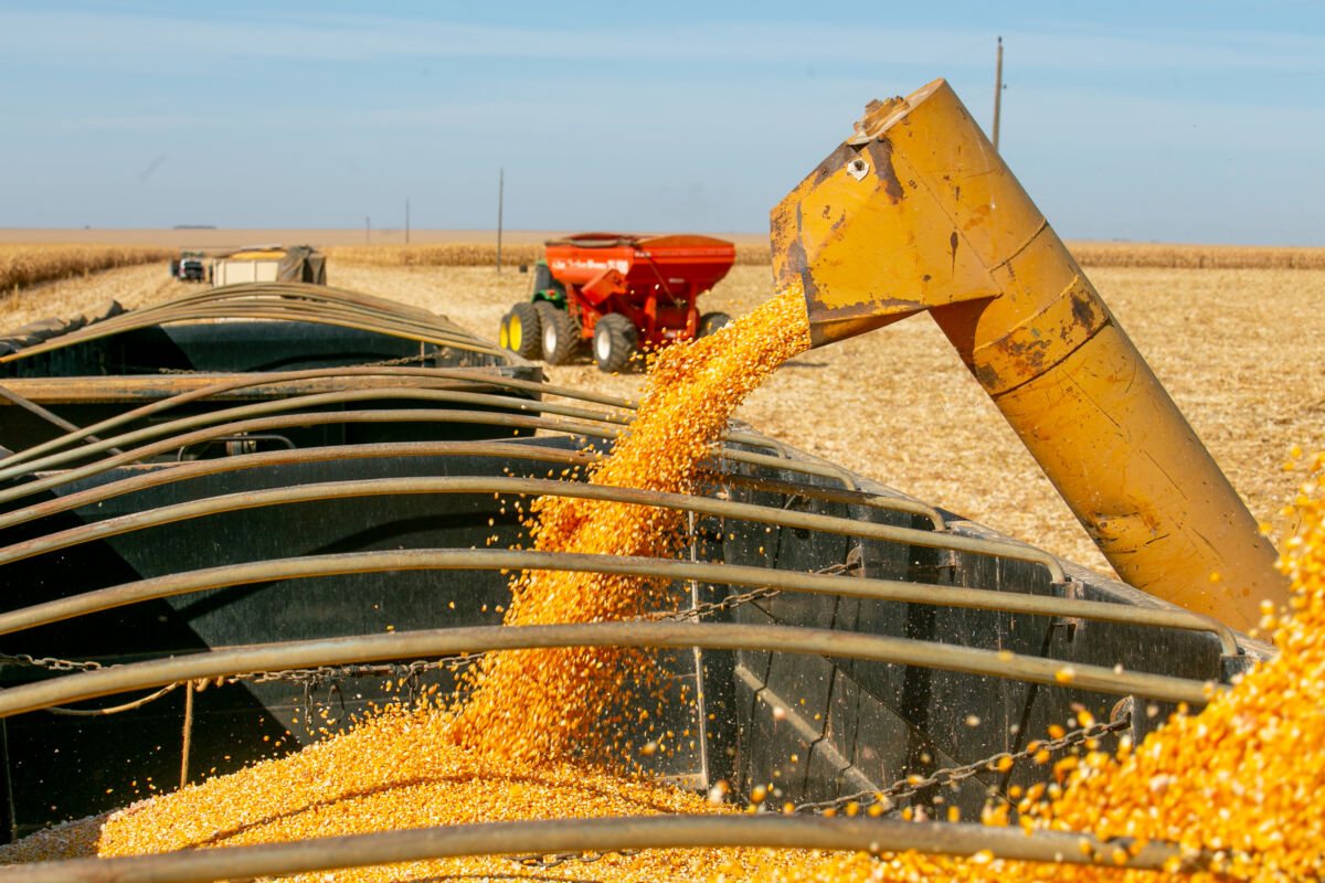 Faturamento da FictorAgro cresce 40% e chega a R$ 1,8 bilhão - AgroRevenda