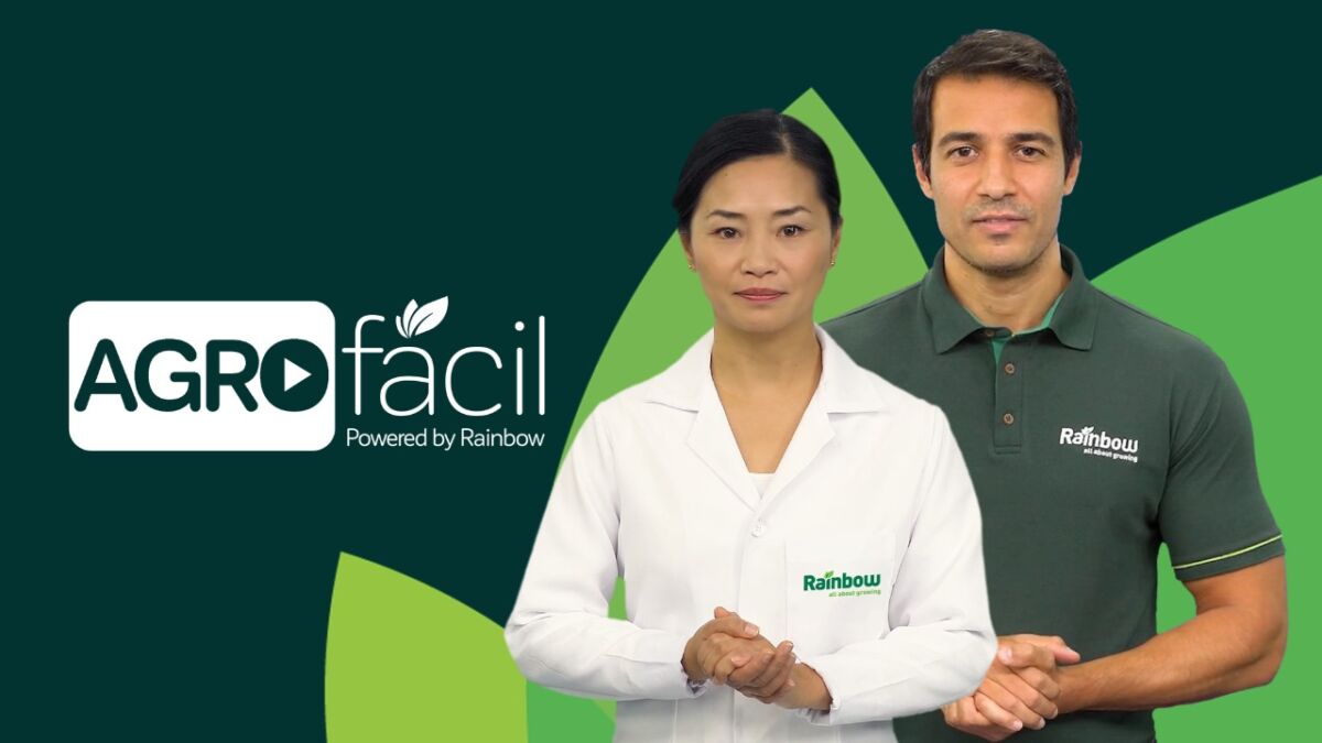 Rainbow Agro descomplica agricultura com canal Agrofácil - AgroRevenda