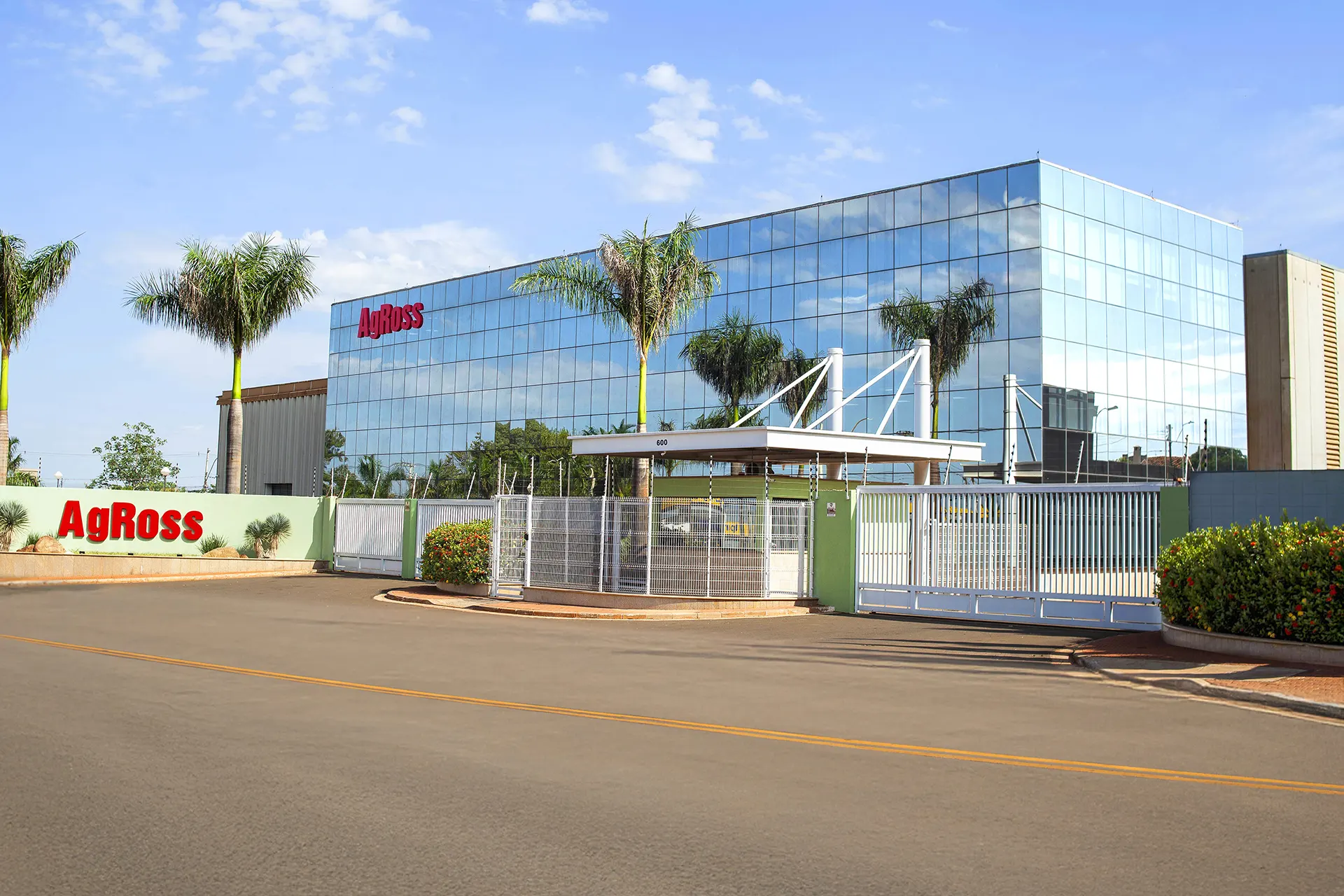 O novo tempo da AgRoss - AgroRevenda