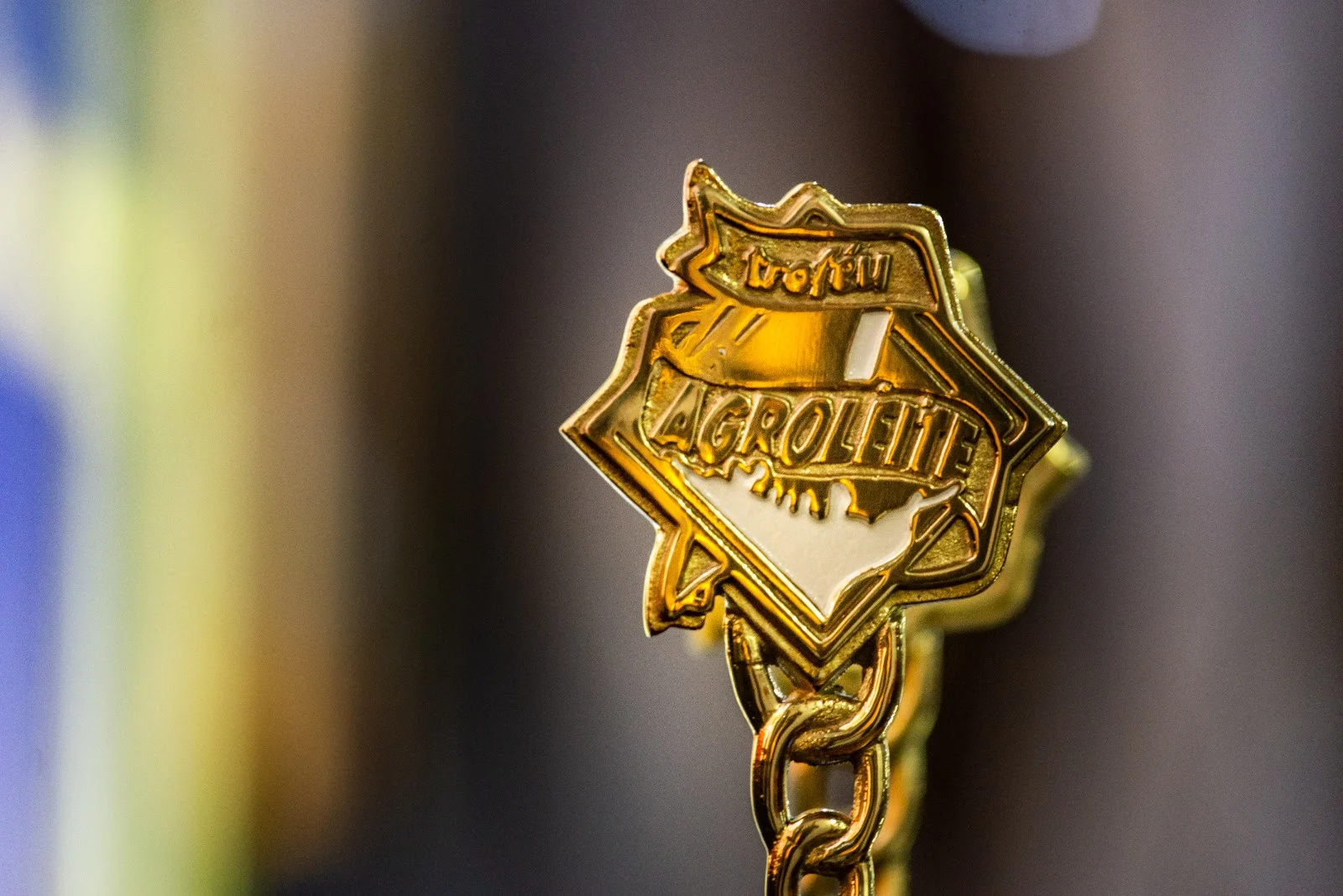 Cooperativa Castrolanda anuncia os finalistas do Troféu Agroleite 2025 ...