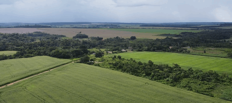 Nimaxxa, da UPL, é o 1º bionematicida bioestimulante agrícola ...