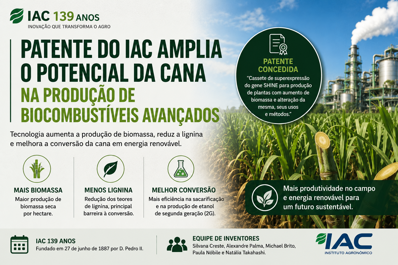 Nova tecnologia do IAC abre nova perspectiva para cana - AgroRevenda