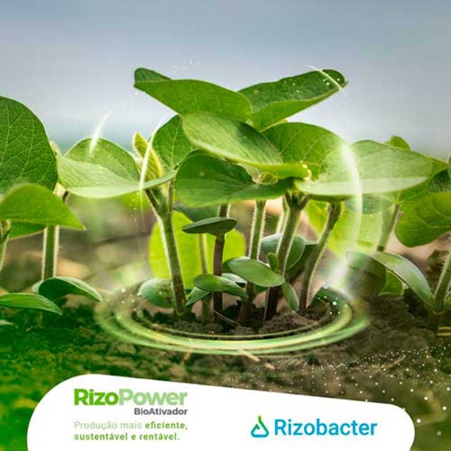 Rizobacter lança BioAtivador para aplicação foliar - AgroRevenda